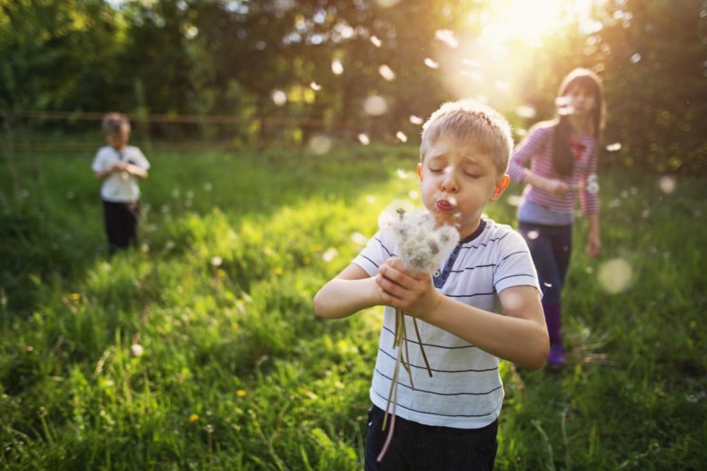 Guide to Dealing with Hay Fever in Australia | Australia Wide First Aid